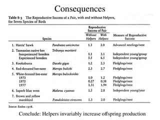cooprative breeding................................ppt