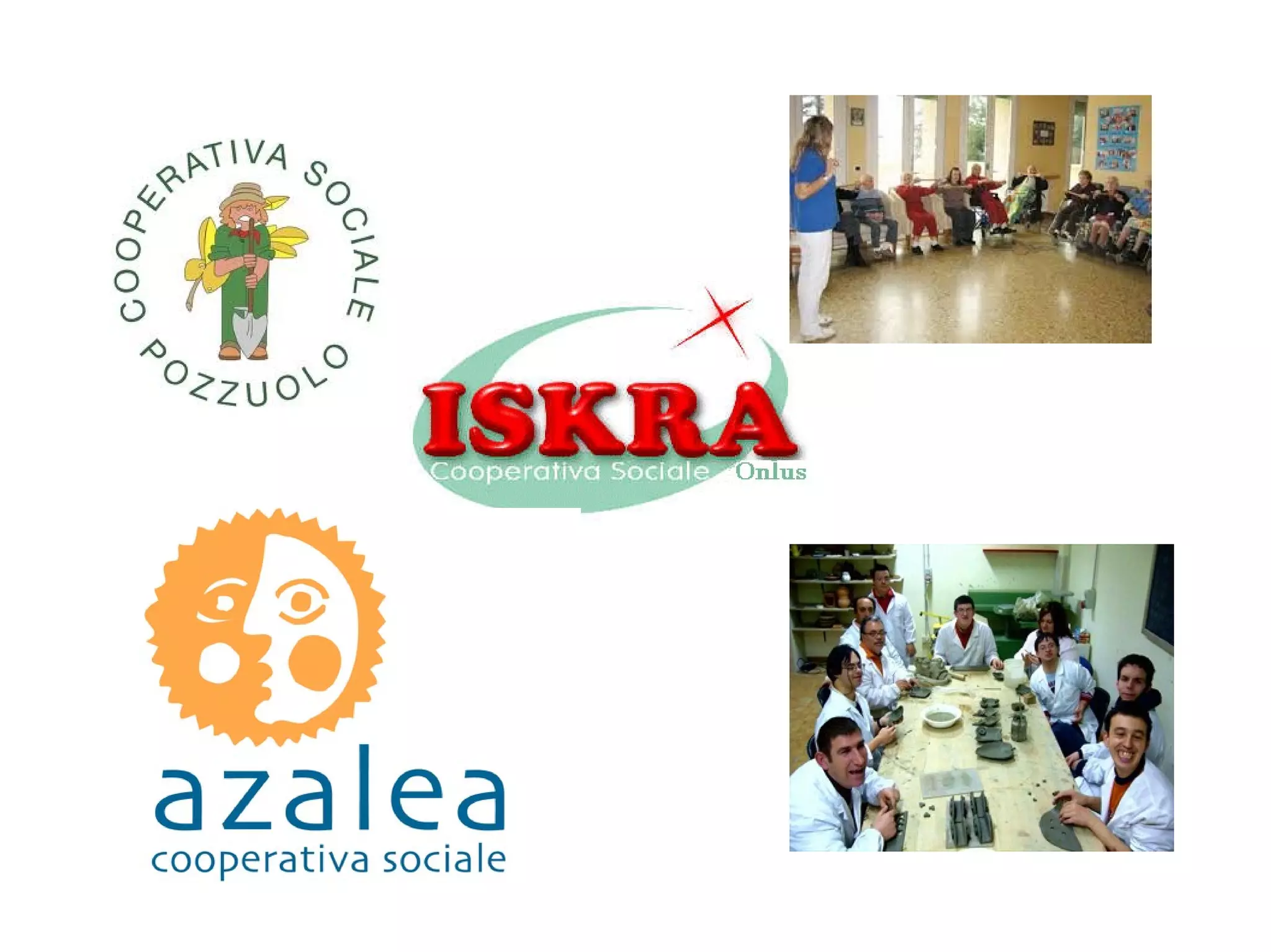 Alternative Co-operative Organisation - Examples from Italy and Japan | PPT