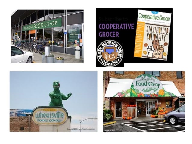 Alternative Co-operative Organisation - Examples from Italy and Japan ...