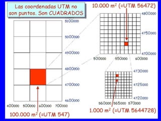 Coordenadas Utm | PPS