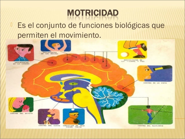 MOTRICIDAD EN LA INFANCIA