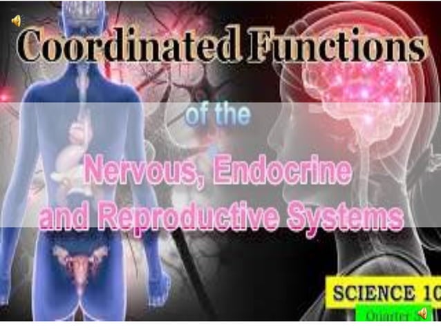 Coordinated-Function-of-Nervous-System-Endocrine-and-Reprodcutive-System.pptx