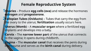 Coordinated-Functions-of-the-Reproductive-Endocrine.pptx