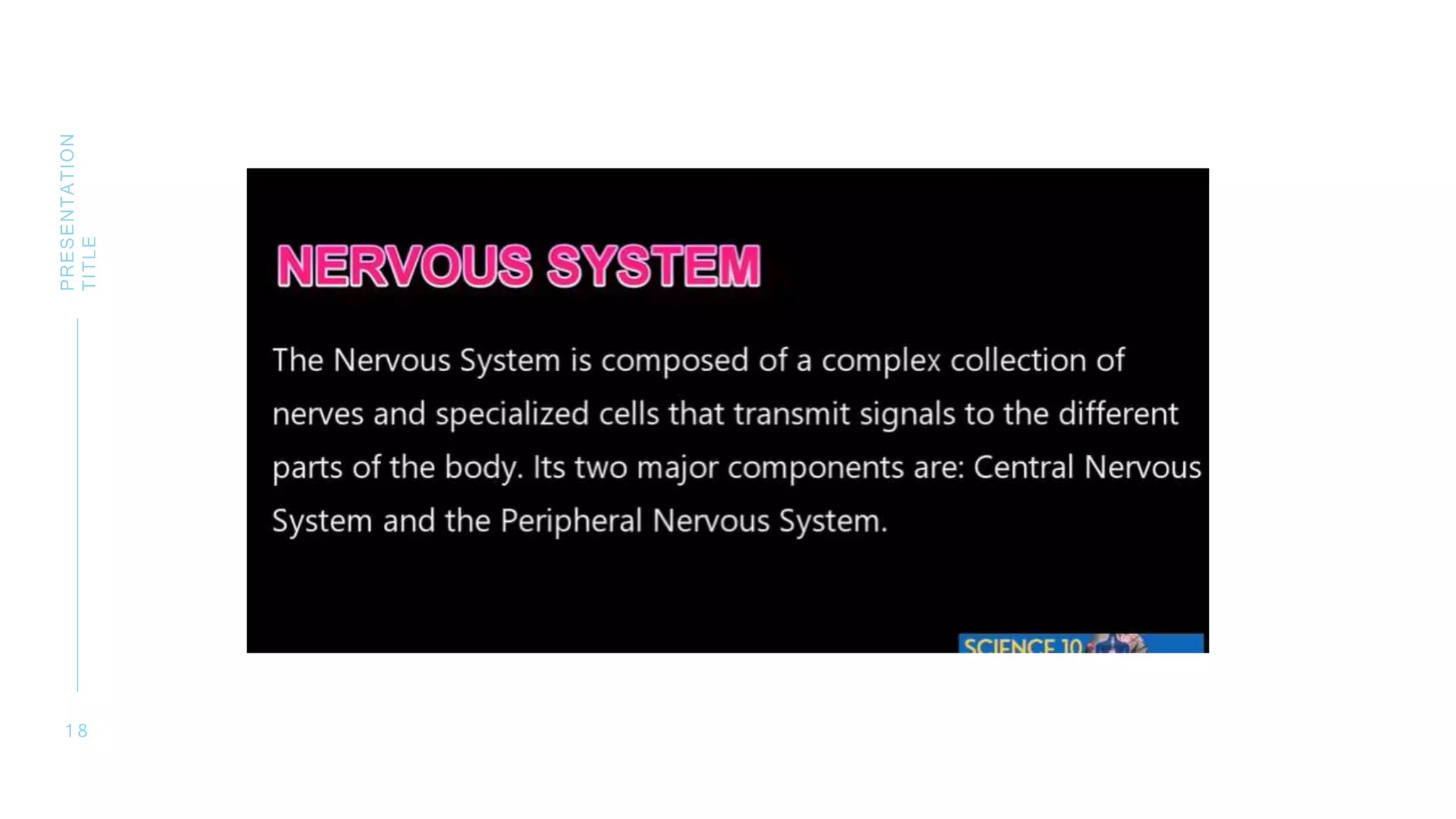 coordinated function of endocrine, nervous and repro.pptx