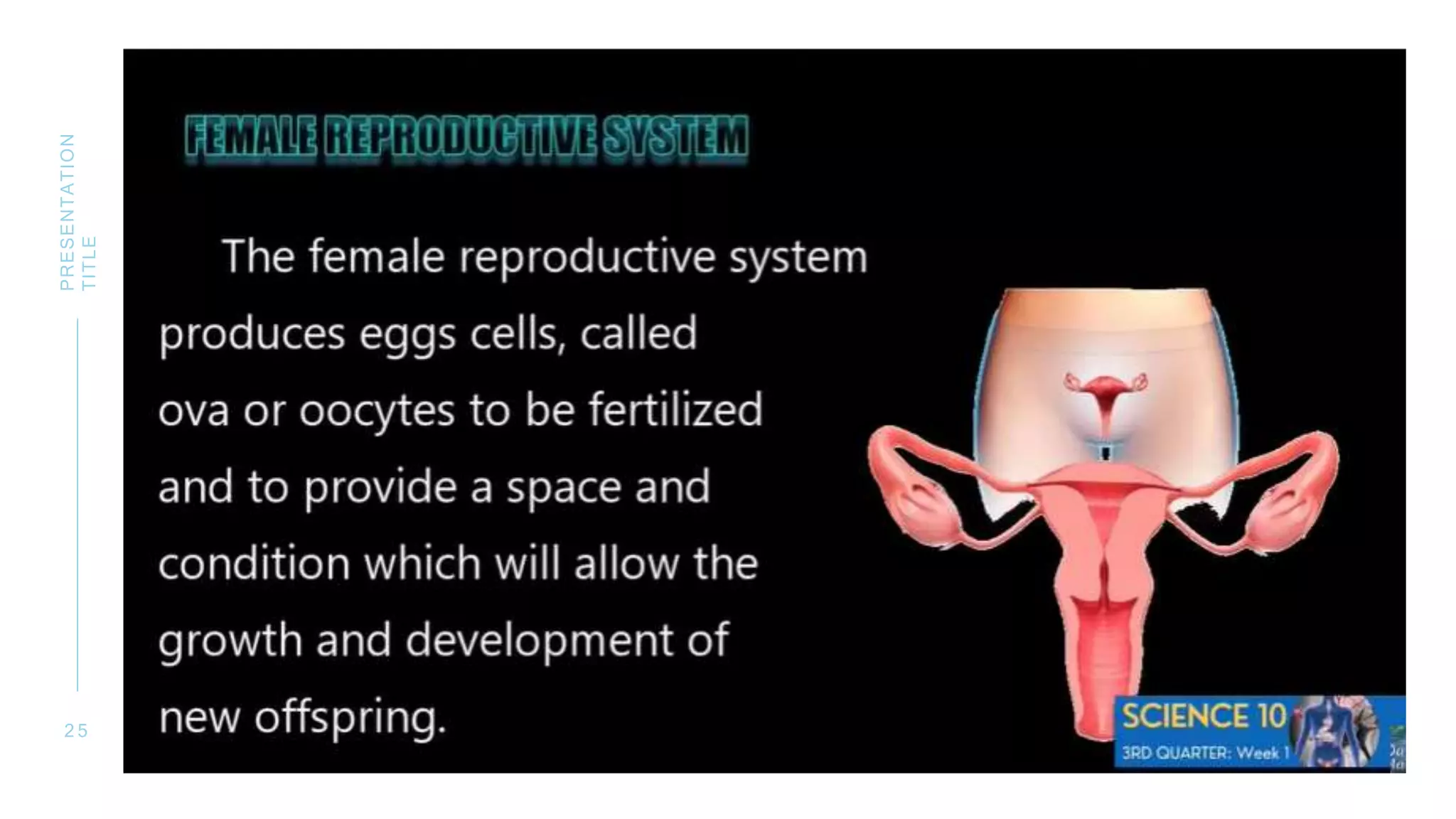 coordinated function of endocrine, nervous and repro.pptx