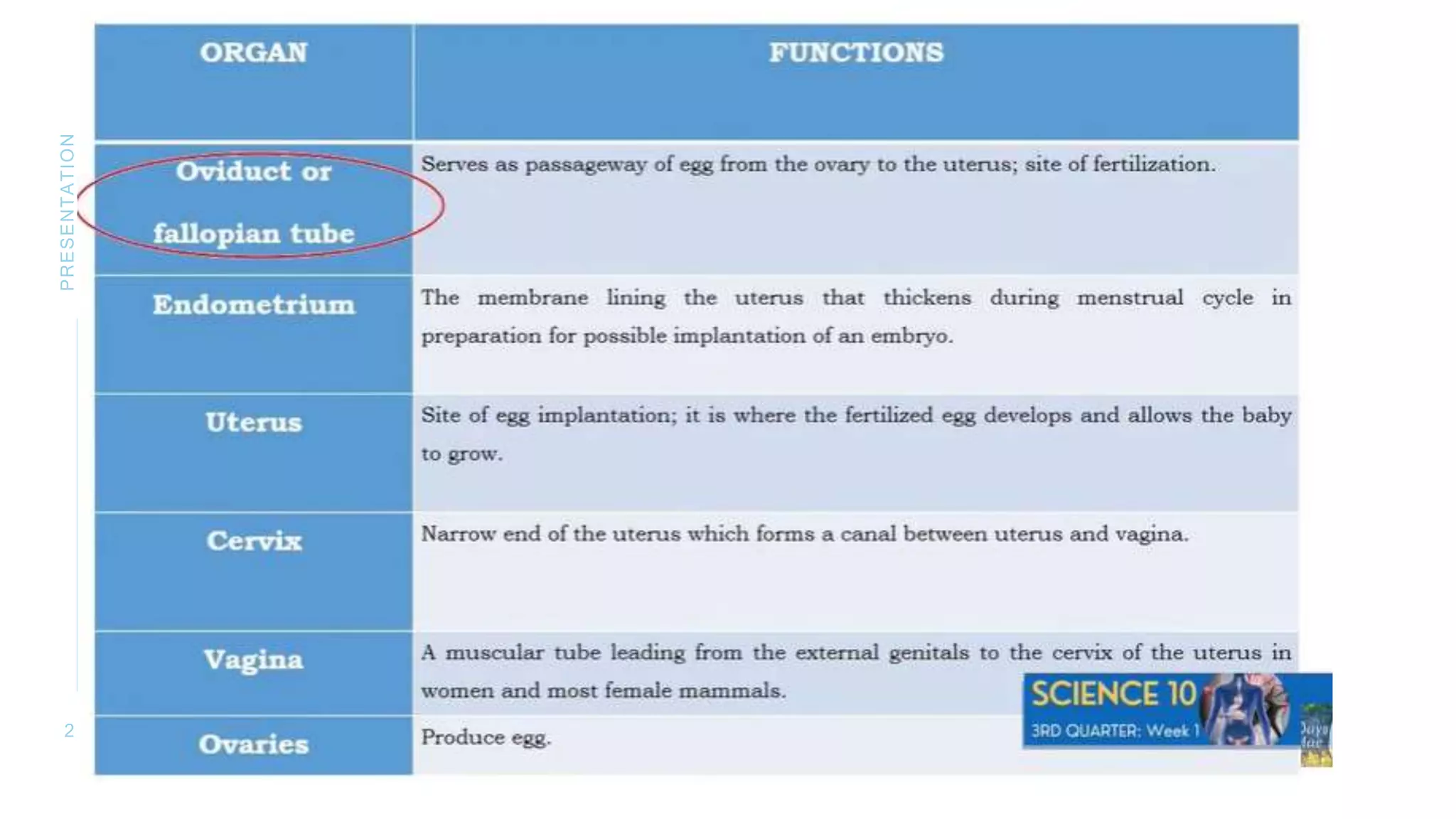 coordinated function of endocrine, nervous and repro.pptx