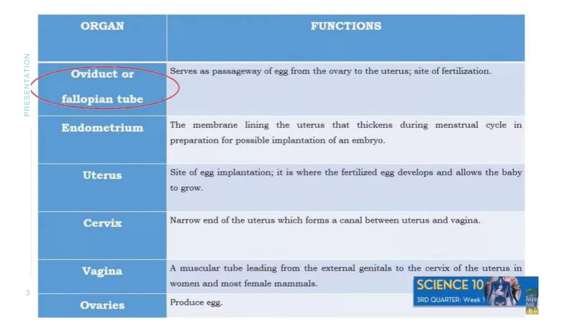 coordinated function of endocrine, nervous and repro.pptx