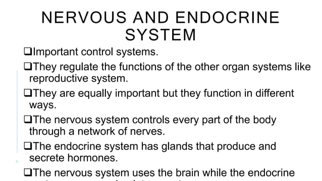 coordinated function of endocrine, nervous and repro.pptx
