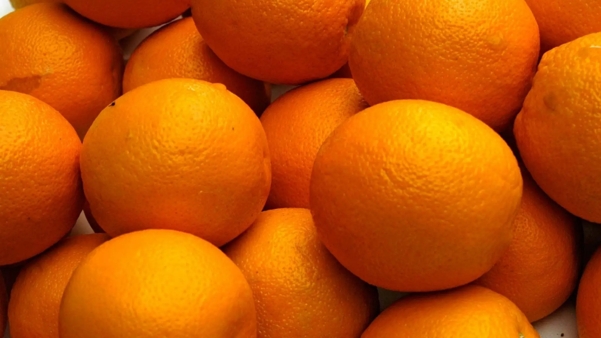 Lecture - coordinate system and projections.pptx