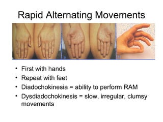 Rapid Alternating Movements