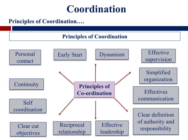 Coordination | PPTX | Executive Leadership & Management | Business