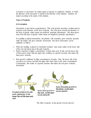 Coordination 2 | DOCX | Gardening | Home & Garden