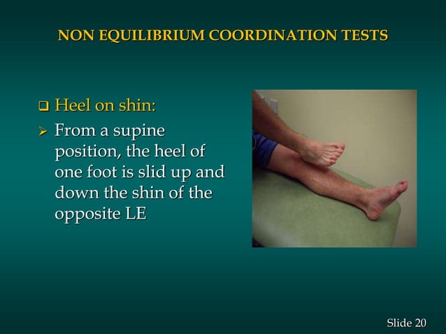 COORDINATION.pptx | Physical Therapy | Wellness