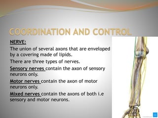 COORDINATION AND CONTROL 1.pptx