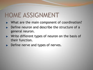 COORDINATION AND CONTROL 1.pptx