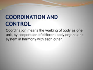 COORDINATION AND CONTROL 1.pptx
