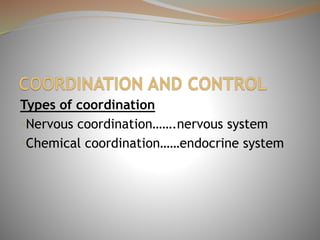 COORDINATION AND CONTROL 1.pptx