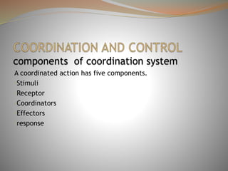 COORDINATION AND CONTROL 1.pptx