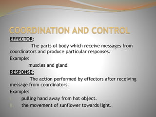 COORDINATION AND CONTROL 1.pptx