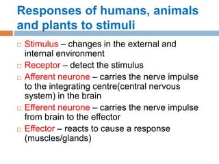Coordination and response | PPTX