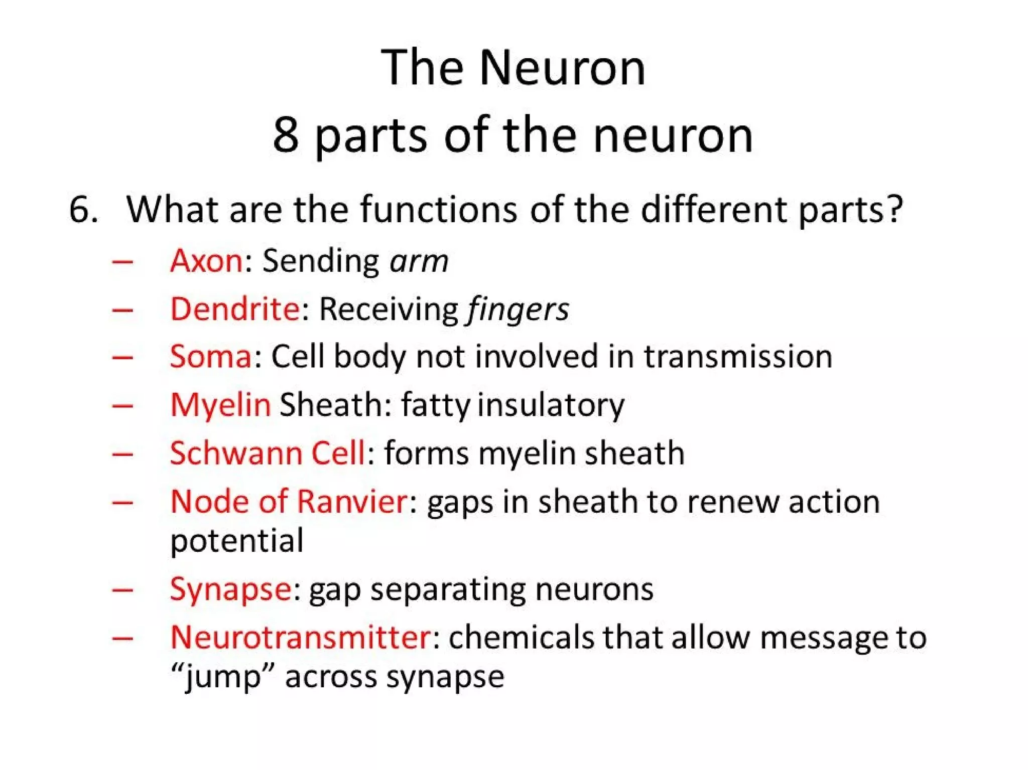 Coordination and response the nervous system | ODP