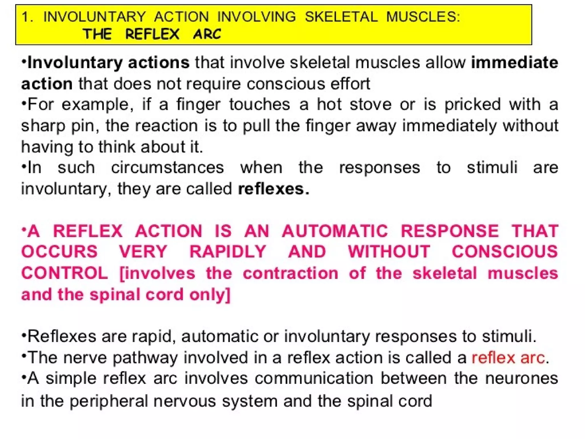 Coordination and response the nervous system | ODP