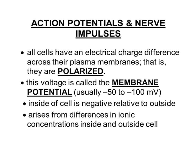 Coordination and response the nervous system | ODP | First Aid | Injuries