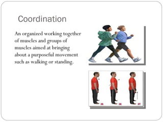 Coordination, Balance, Gait and Posture | PPT