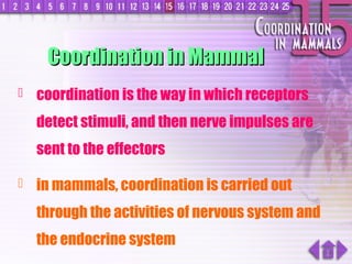 NEURAL CONTROL AND COORDINATION IN MAMMALS | PPT