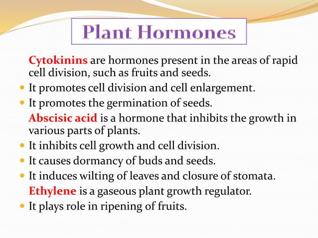Coordination in plants | PPTX | Endocrine and Metabolic Diseases | Diseases and Conditions