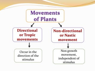 Coordination in plants | PPTX