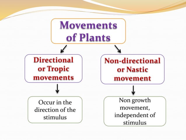 Coordination in plants | PPTX | Endocrine and Metabolic Diseases | Diseases and Conditions