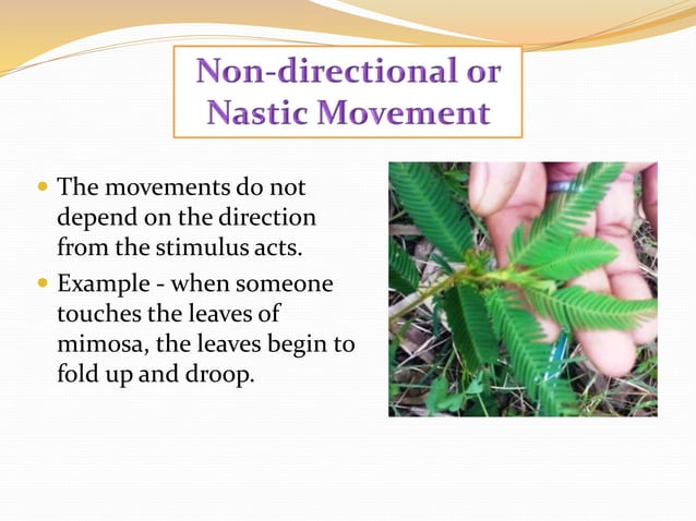 Coordination in plants | PPTX | Endocrine and Metabolic Diseases | Diseases and Conditions