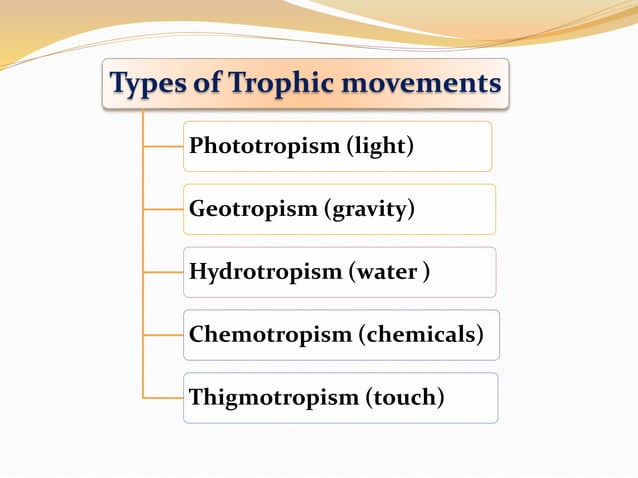 Coordination in plants | PPTX | Endocrine and Metabolic Diseases | Diseases and Conditions