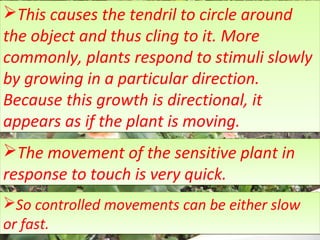 Coordination in plants by hruthik | PPT | Gardening | Home & Garden