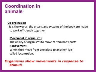 COORDINATION AND RESPONSE | PPT