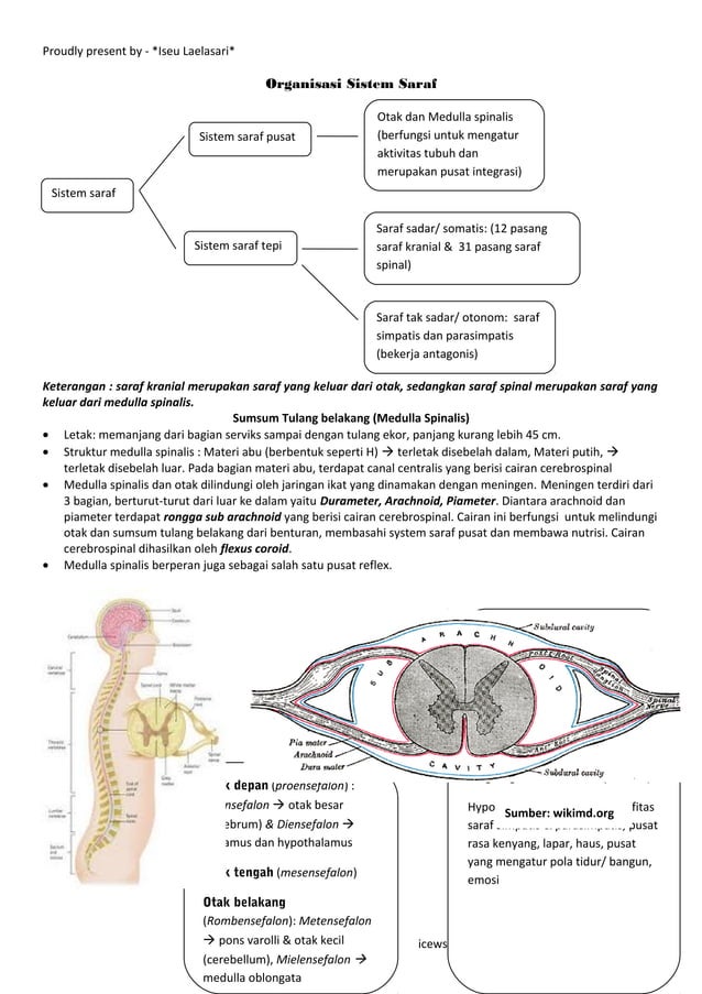 Coordination system | DOC