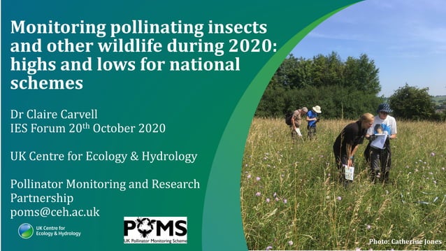 Monitoring pollinating insects and other wildlife during 2020: highs ...