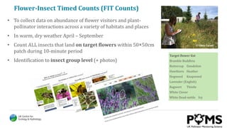 Monitoring pollinating insects and other wildlife during 2020: highs ...