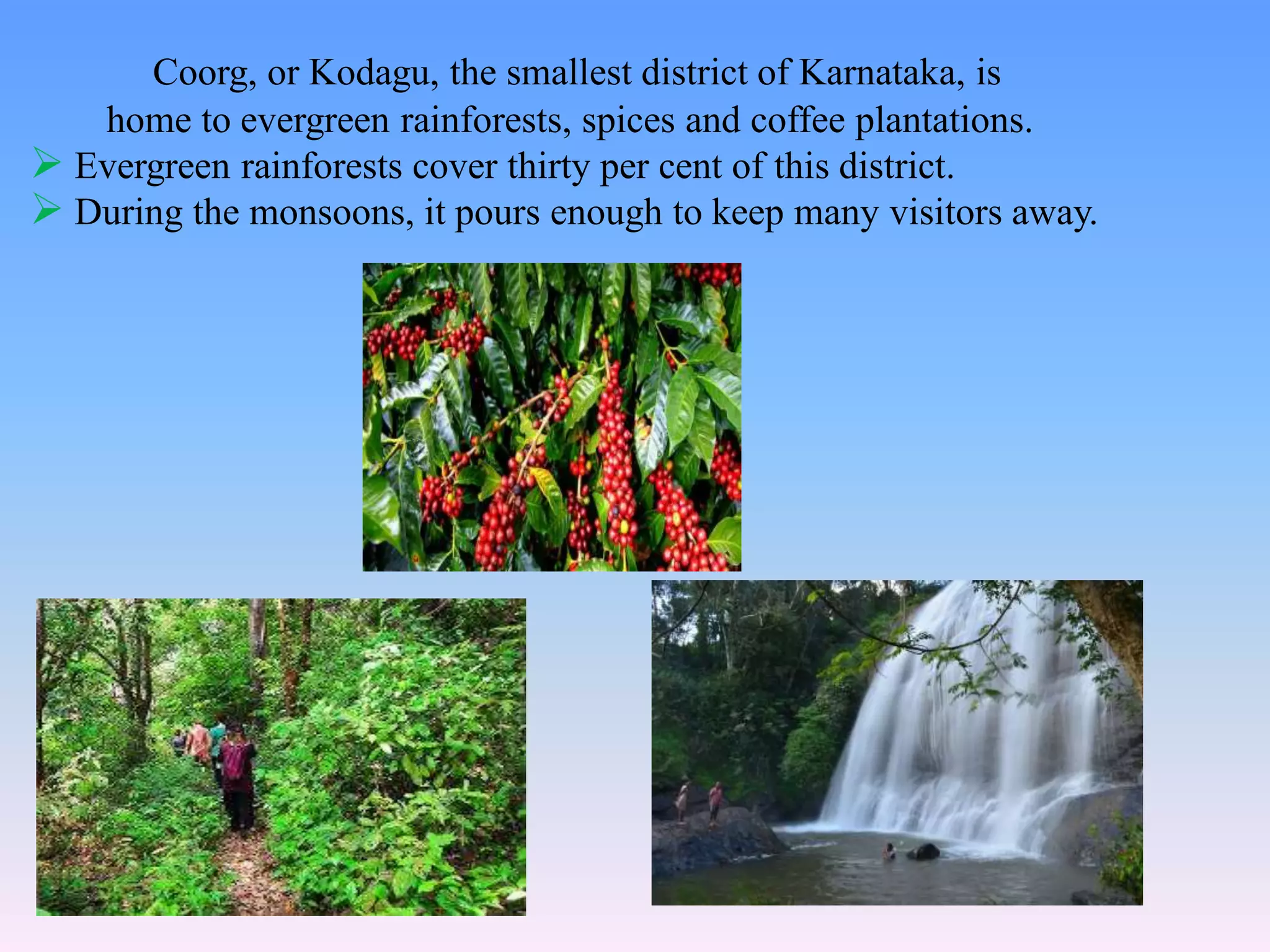 Coorg | PDF