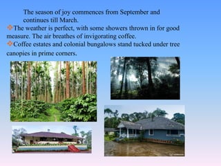 Coorg | PDF