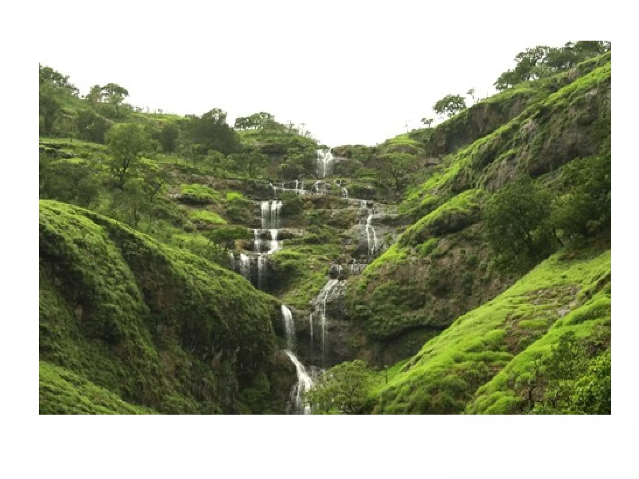 Coorg foods and beverages (Karnataka) | PPT