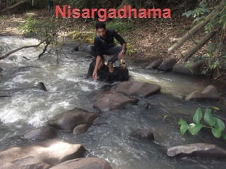 Coorg | PPTX