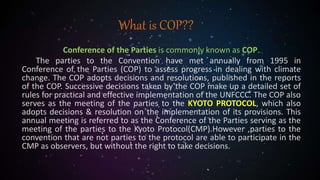 COP 19 Presentation | PPTX