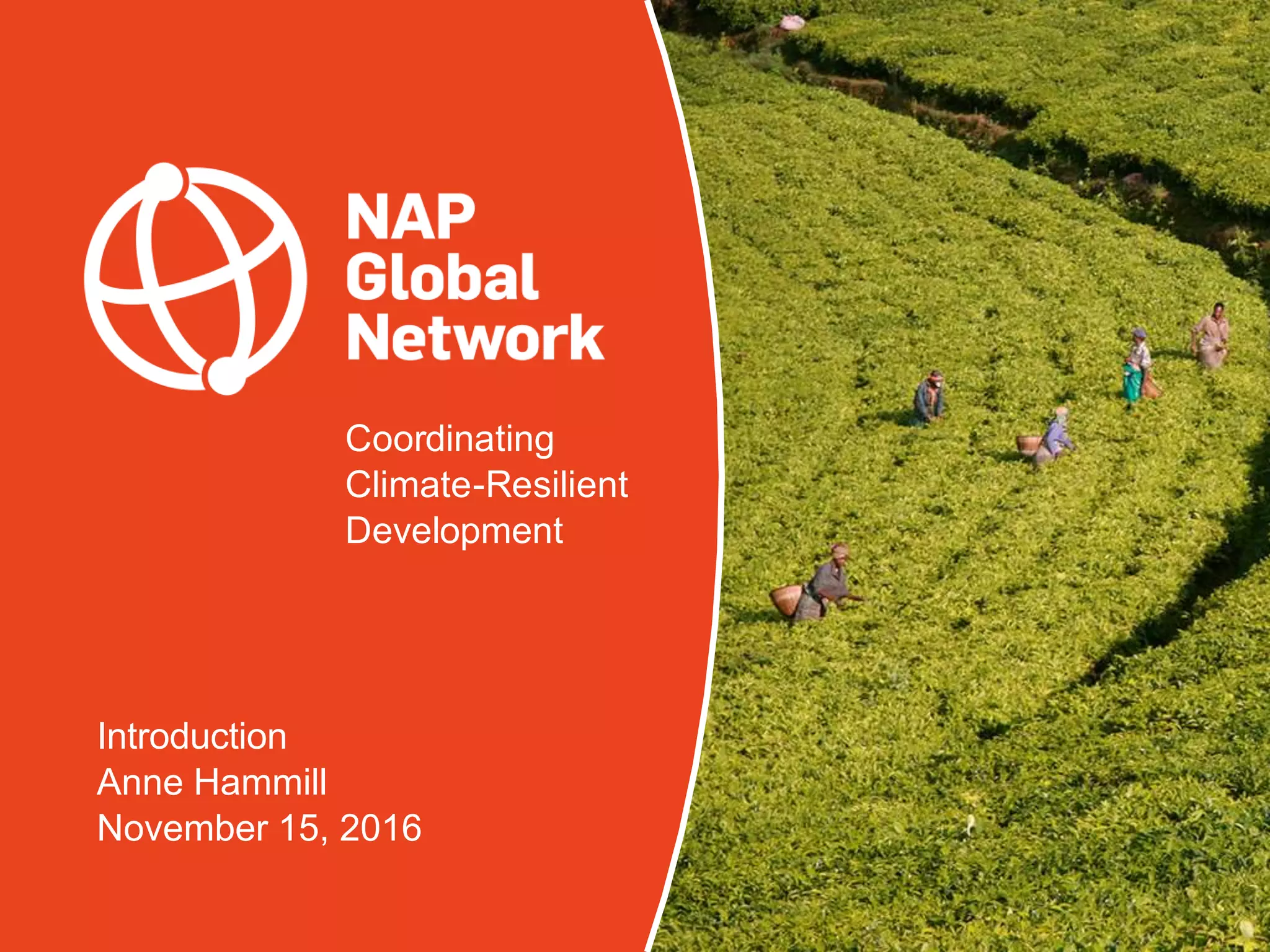 Introduction to the NAP Global Network | COP 22 | PPT