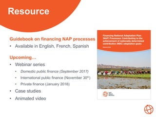 The Role of the Private Sector in NAP Processes | PPT