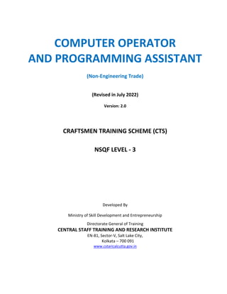 computer operater and programming asestent | PDF