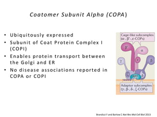 COPA mutations impair Golgi-ER transport causing hereditary autoimmune ...