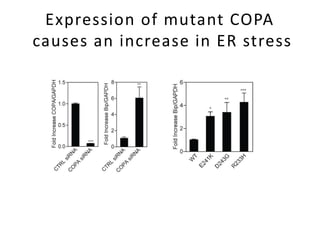 COPA mutations impair Golgi-ER transport causing hereditary autoimmune ...
