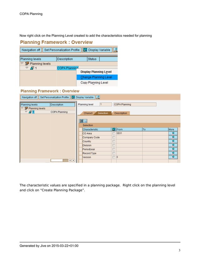 Copa planning star3 | PDF | Business Accounting & Finance | Business